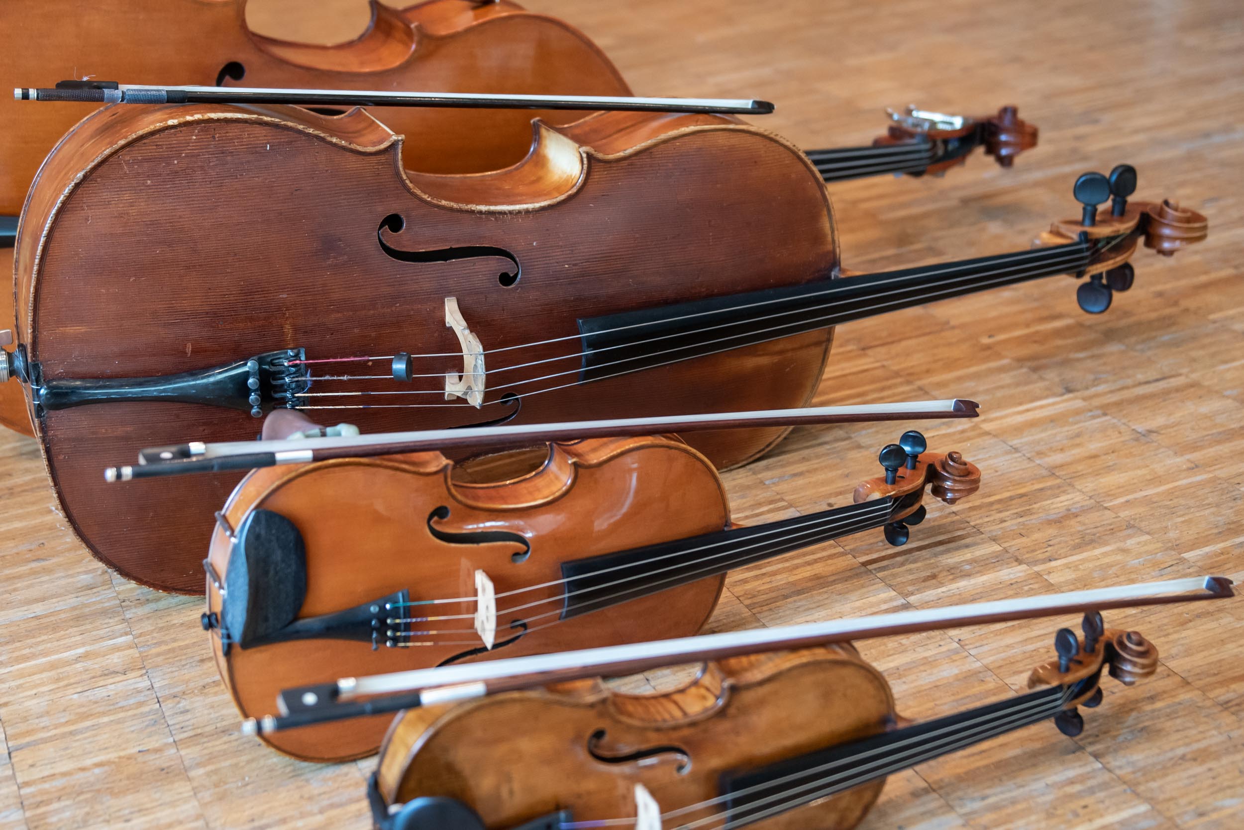 Stuttgarter Musikschule:Streichinstrumente